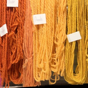 Natural Dye Kit alum Included - Etsy