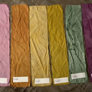 Natural Dye Kit alum Included - Etsy