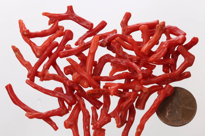 Raw Red Coral Sticks Rough Coral Sticks Coral Crystal Rough - Etsy