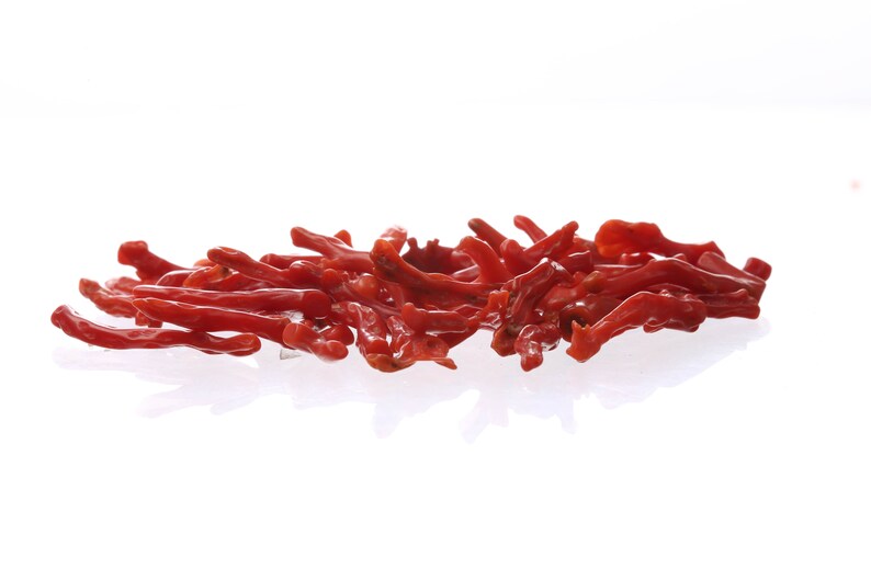 Raw Red Coral Sticks Rough Coral Sticks Coral Crystal Rough - Etsy