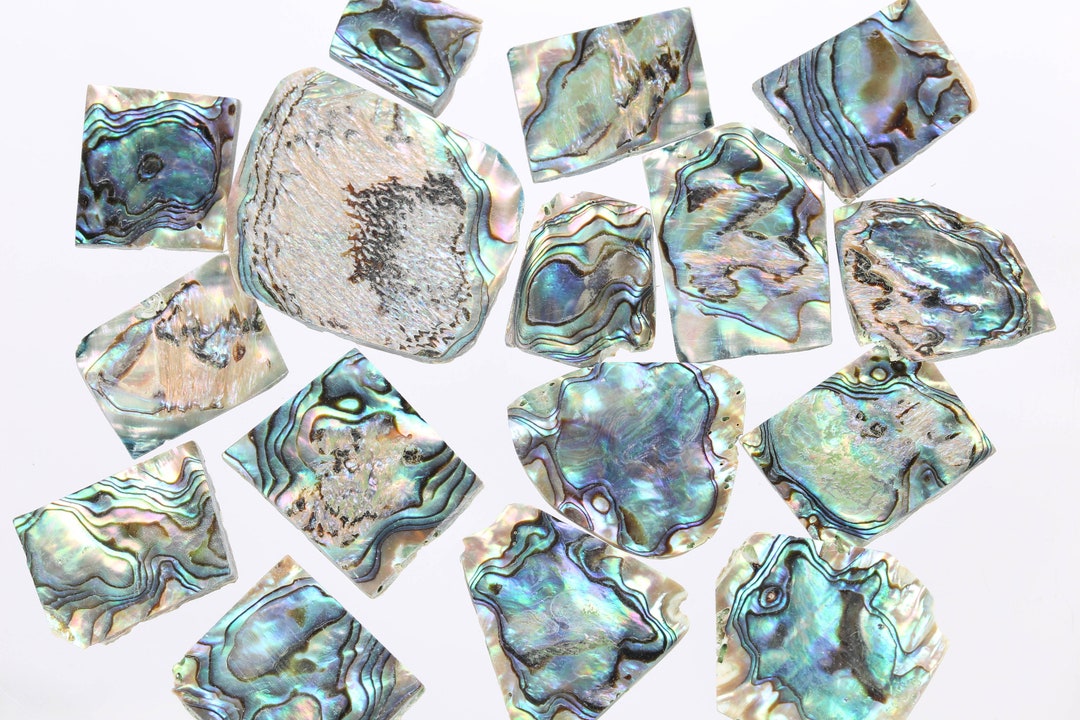 Abalone Shell Slices, Raw Abalone Crystal, Abalone Crystal, Healing ...