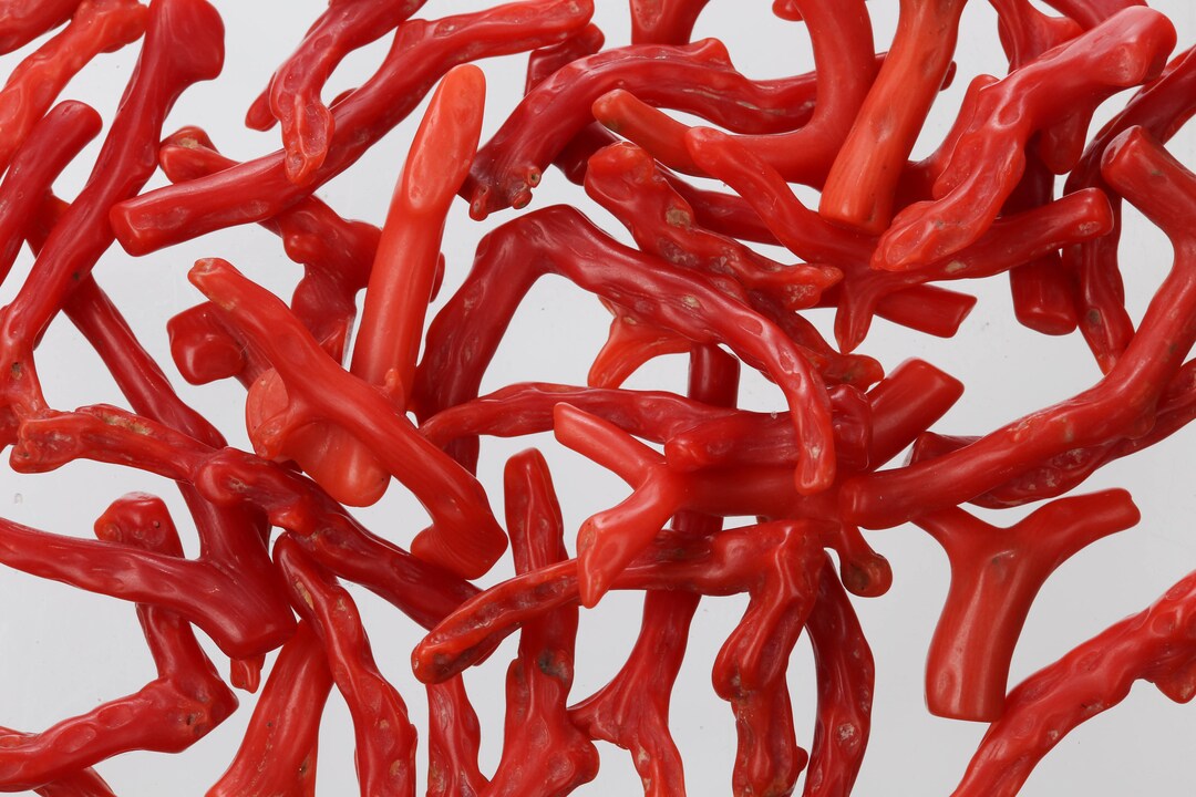 Raw Red Coral Sticks, Rough Coral Sticks, Coral Crystal, Rough Gemstone ...