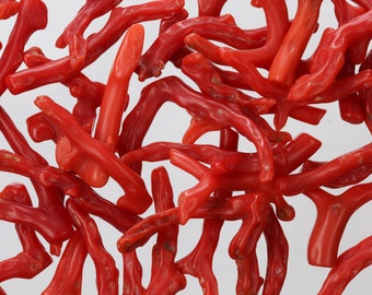 Natural Red Coral - Etsy