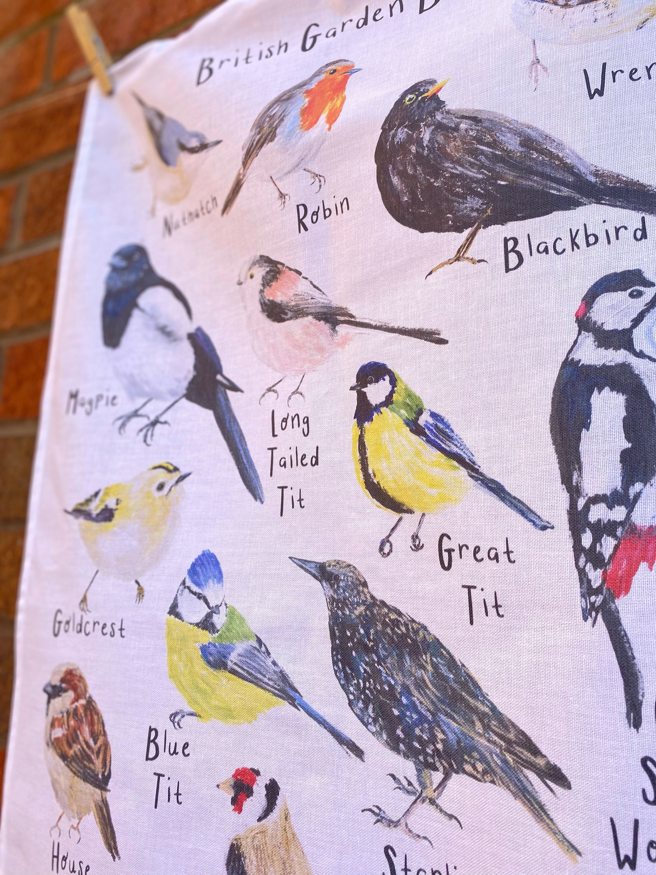 British Garden Birds Tea Towel Birds Tea Towel Animal Gift - Etsy UK