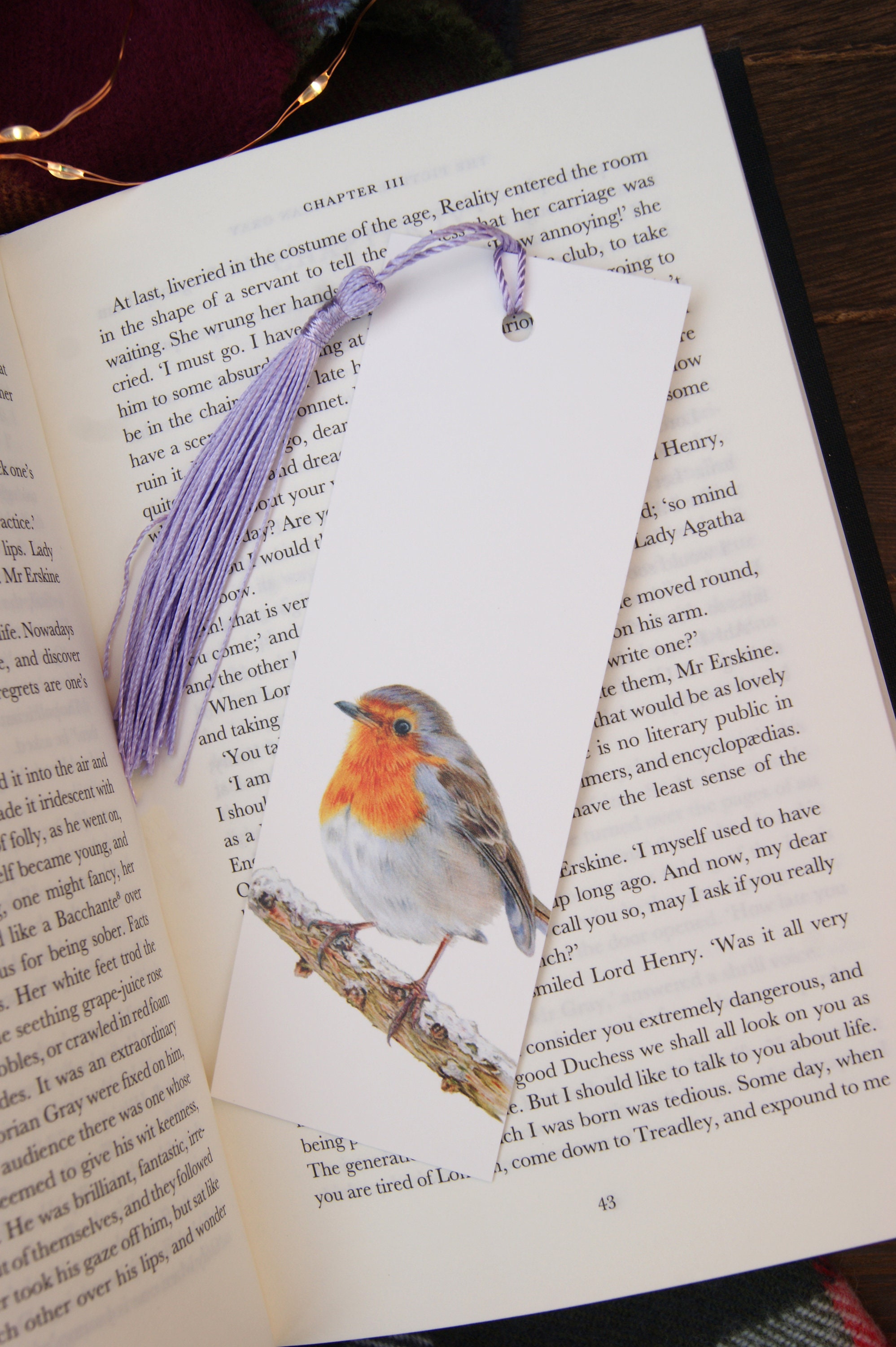 Robin Bookmark, Robin Gift, Robin Lover, British Birds - Etsy UK