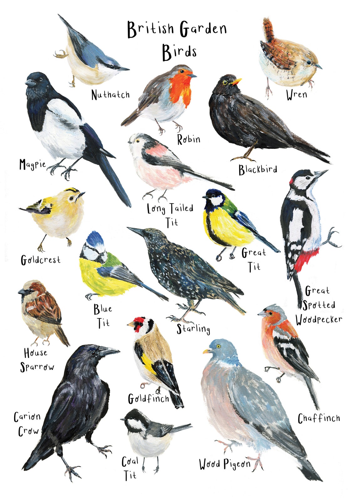British Garden Birds Art Print A4 Print Wildlife Print Bird - Etsy UK
