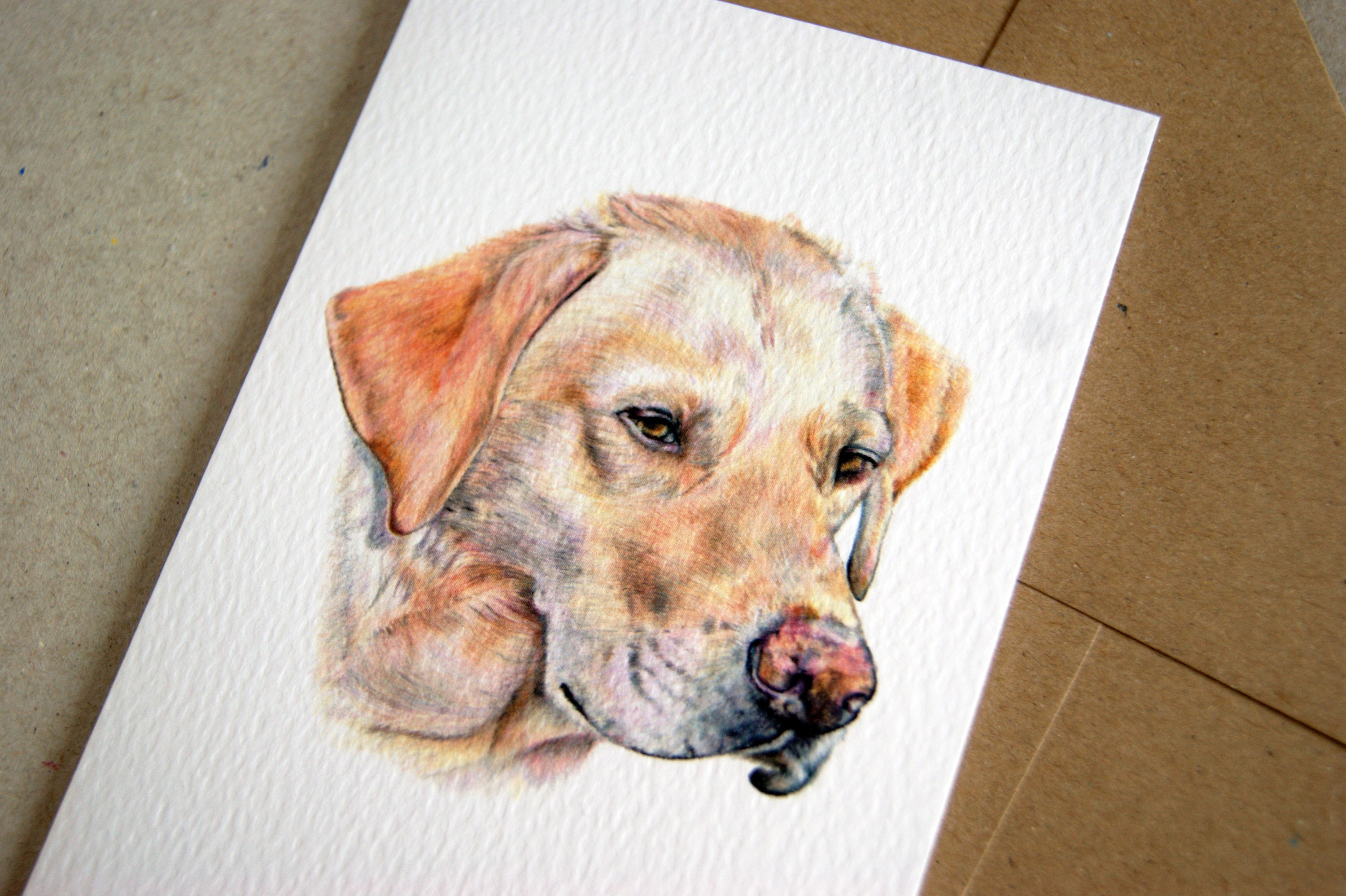 Labrador Greeting Card / Labrador Gift / Dog Card / Fine Art - Etsy UK