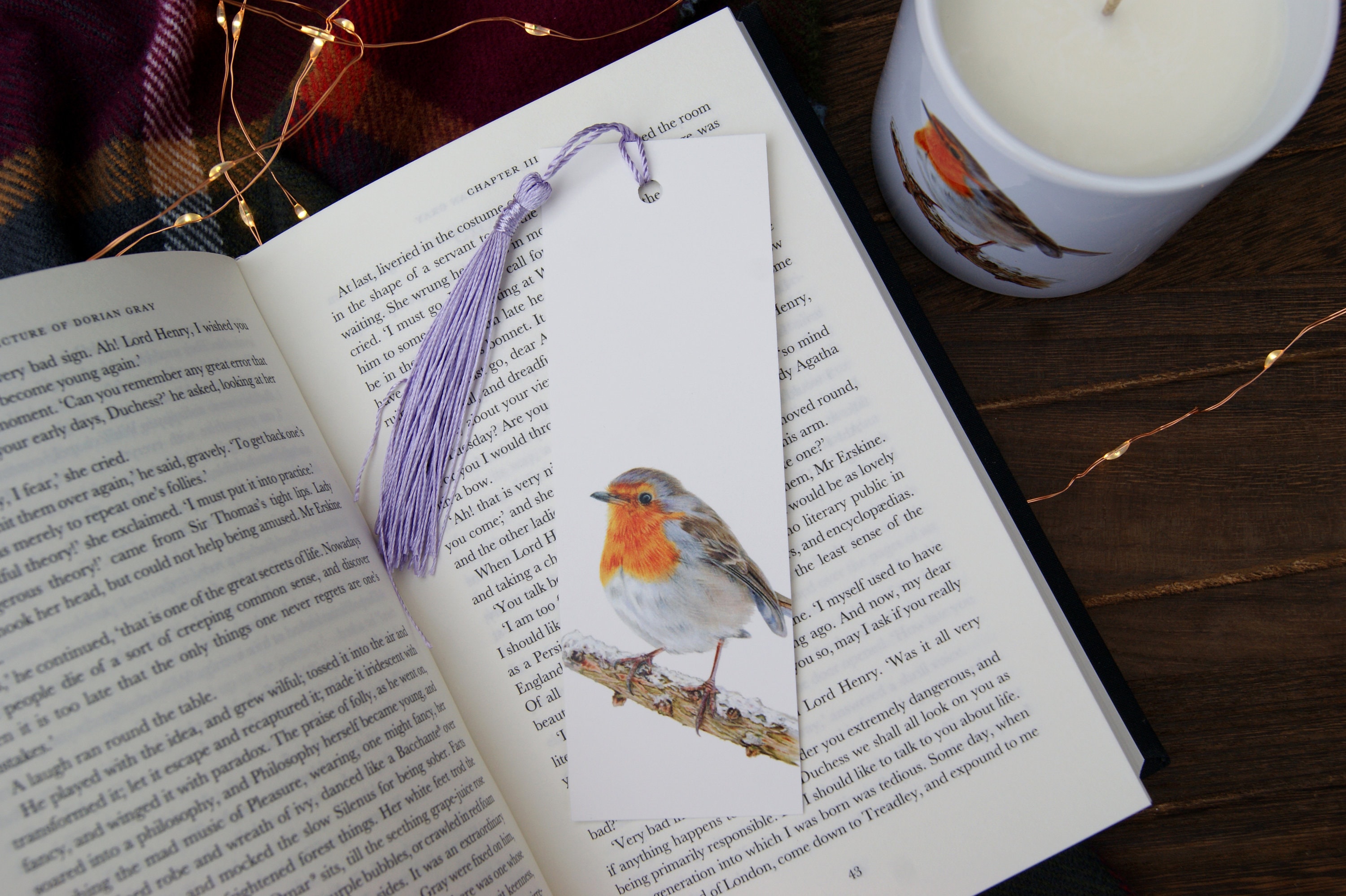 Robin Bookmark, Robin Gift, Robin Lover, British Birds - Etsy UK