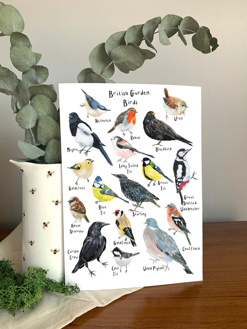 British Garden Birds Art Print, A4 Print, Wildlife Print, Bird Gift ...