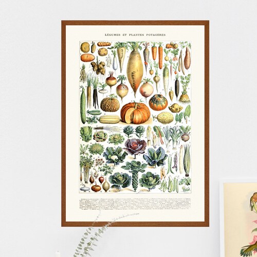 Vintage Vegetable Kitchen Print Kitchen Botanical Wall Art - Etsy