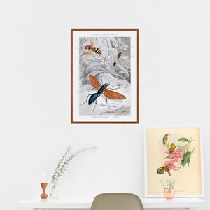 Printable Children's Wall Art, Bees Bugs Butterflies Print, Insects ...