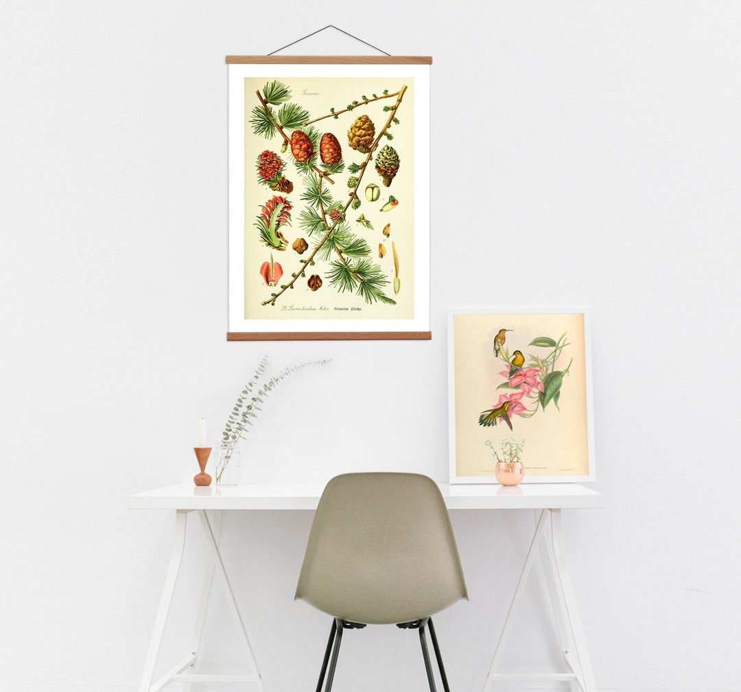 Houten poster frame met botanische canvas opknoping, Scandi wall art ...