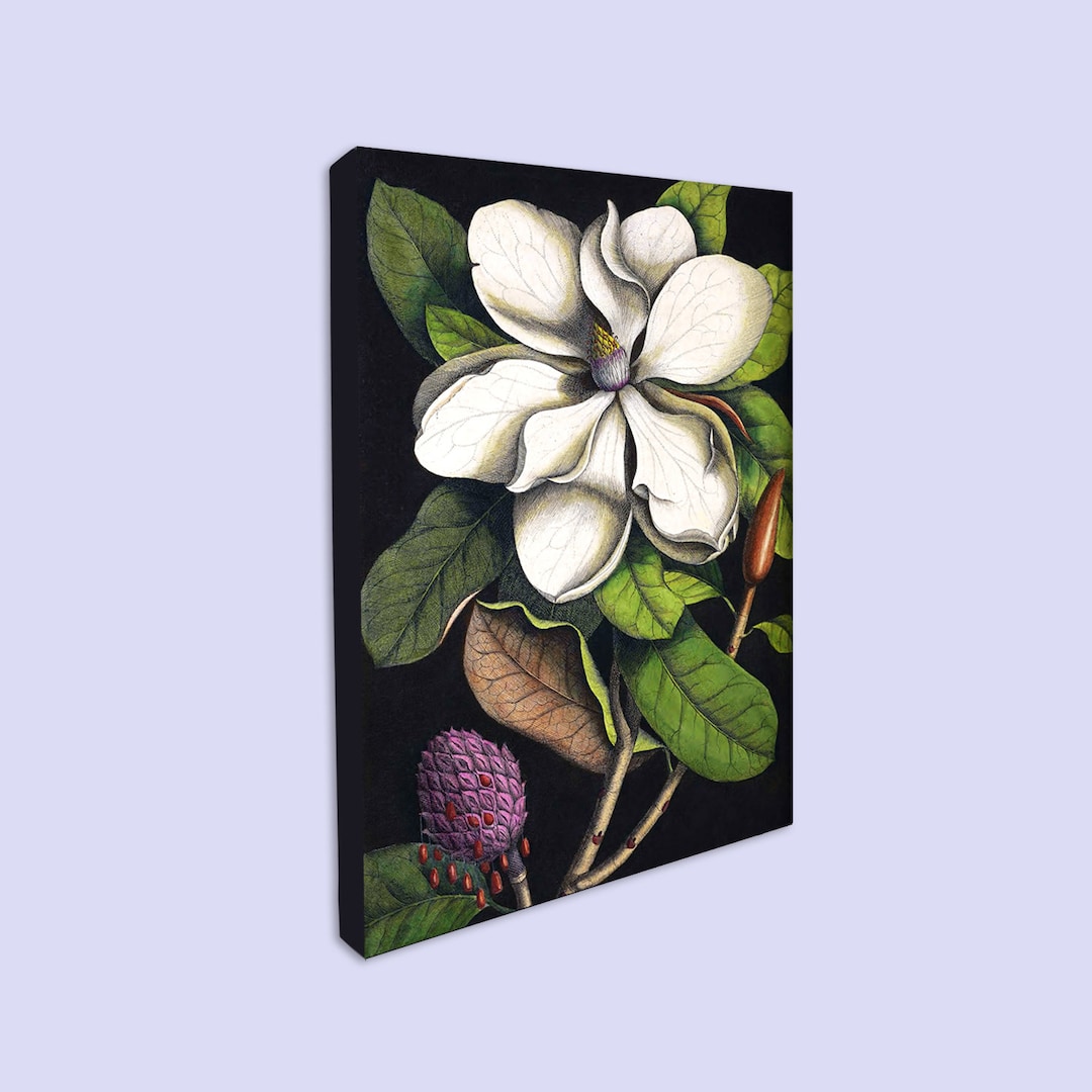 Botanical Canvas Wall Art, Canvas Wall Art for Your Lounge, Vintage ...