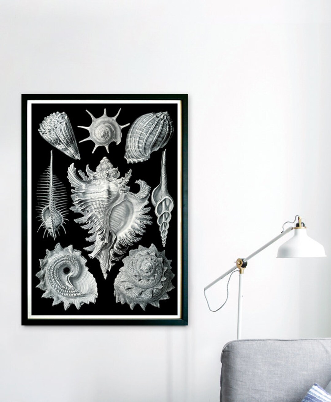 Beach Decor Print, Seashells Abstract Print for Your Bathroom or Home ...