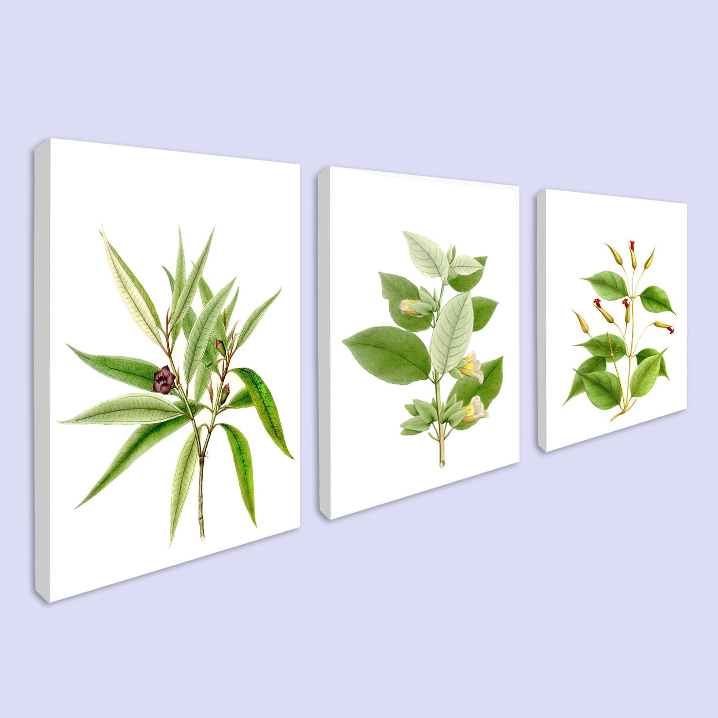 Set of 3 Canvas Prints, Botanical Canvas Print Set of 3, Modern Canvas ...