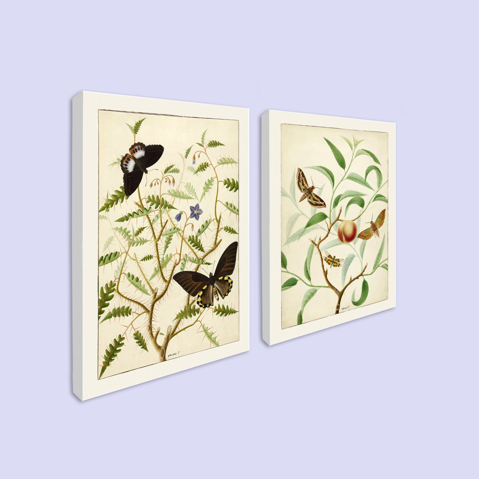 Botanical Canvas Wall Art, Set of 2 Canvas Wall Art for Your Lounge ...