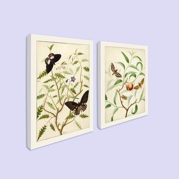 Botanical Canvas - Etsy