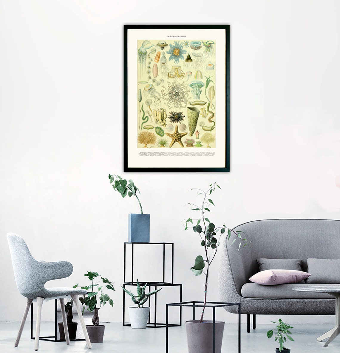 Marine Biology Print Boys Bedroom Interior Ideas Ocean Sea - Etsy