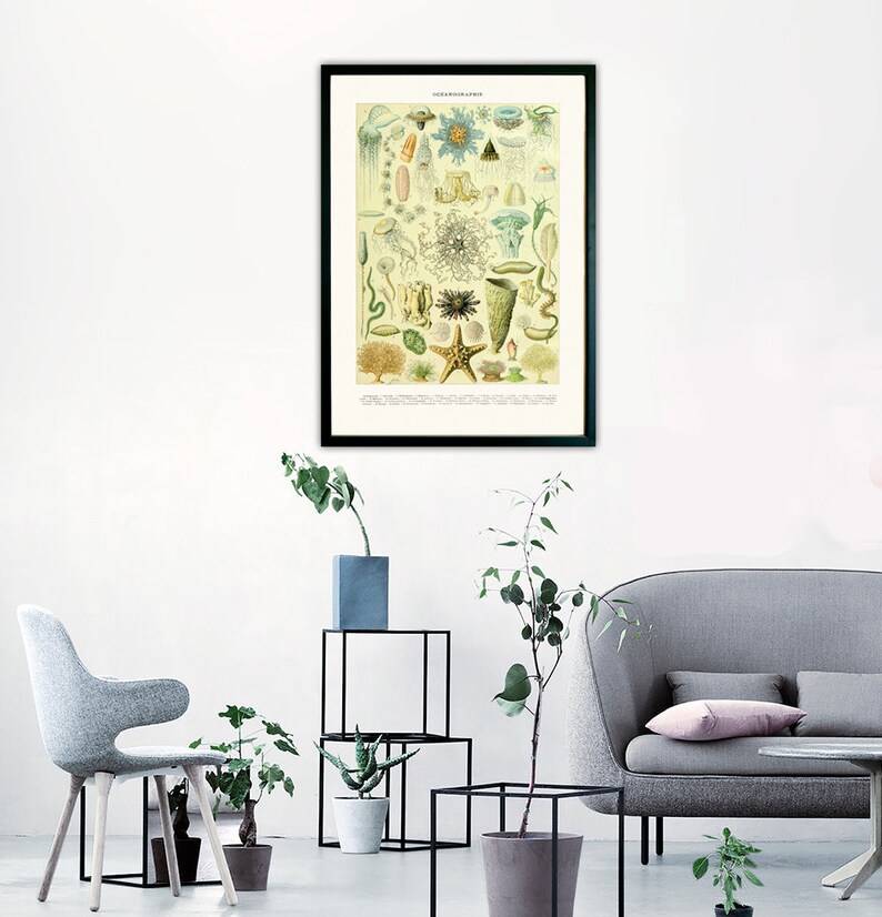 Marine Biology Print Boys Bedroom Interior Ideas Ocean Sea - Etsy UK