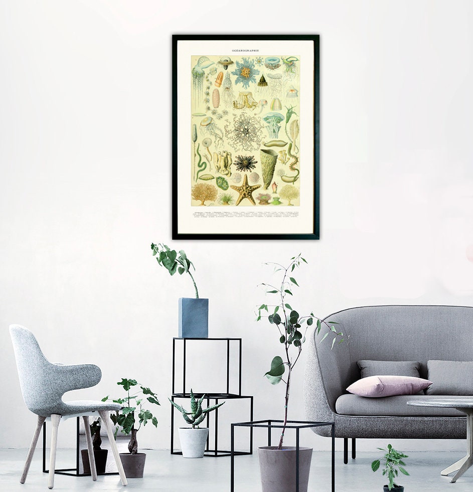 Marine Biology Print Boys Bedroom Interior Ideas Ocean Sea | Etsy