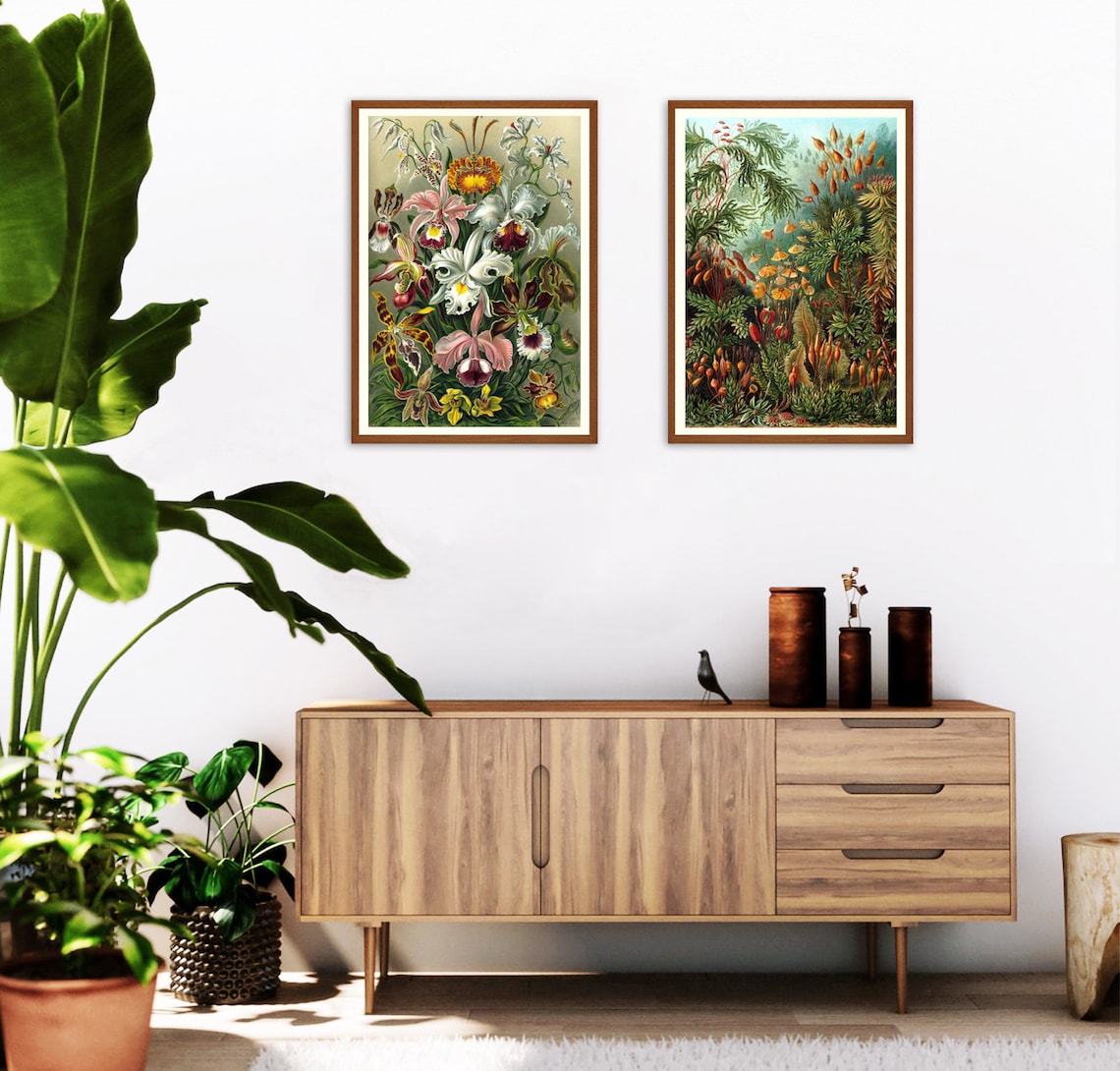 Framed Botanical Prints Set of 2 Framed Prints Framed Floral - Etsy