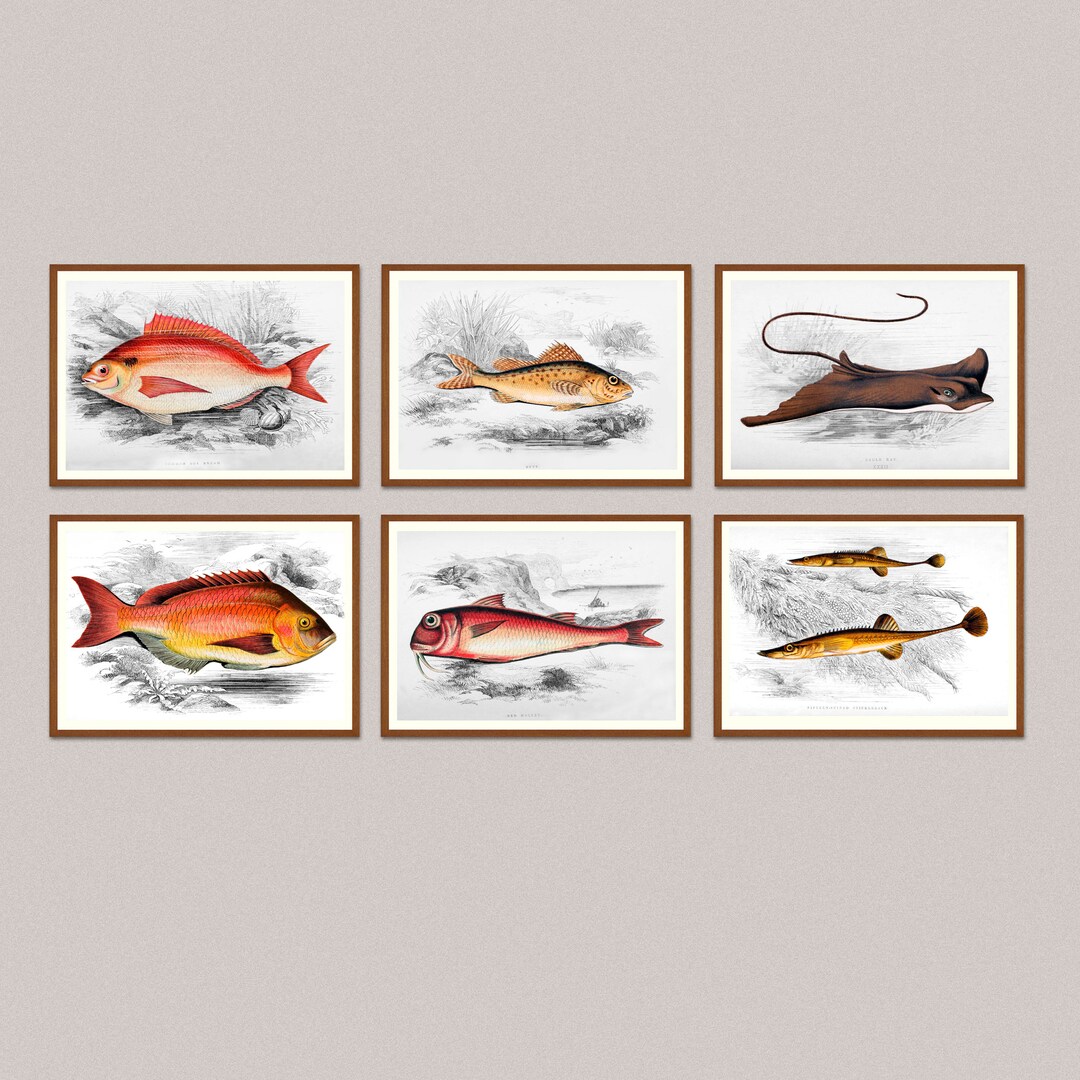 Set of 6 Prints, Vintage Gallery Wall Set, Fisherman Gift, Set of 6 ...