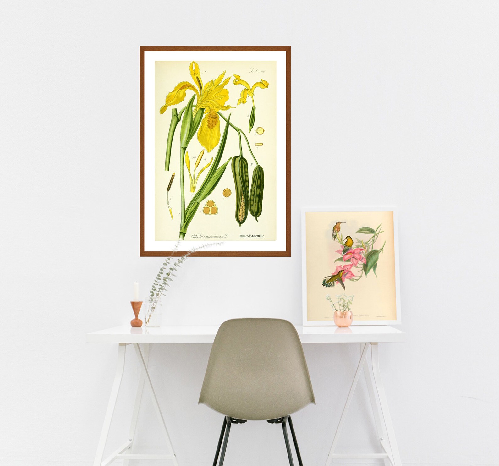 Botanical Framed Wall Art for Your Lounge, Framed Flowers Print ...