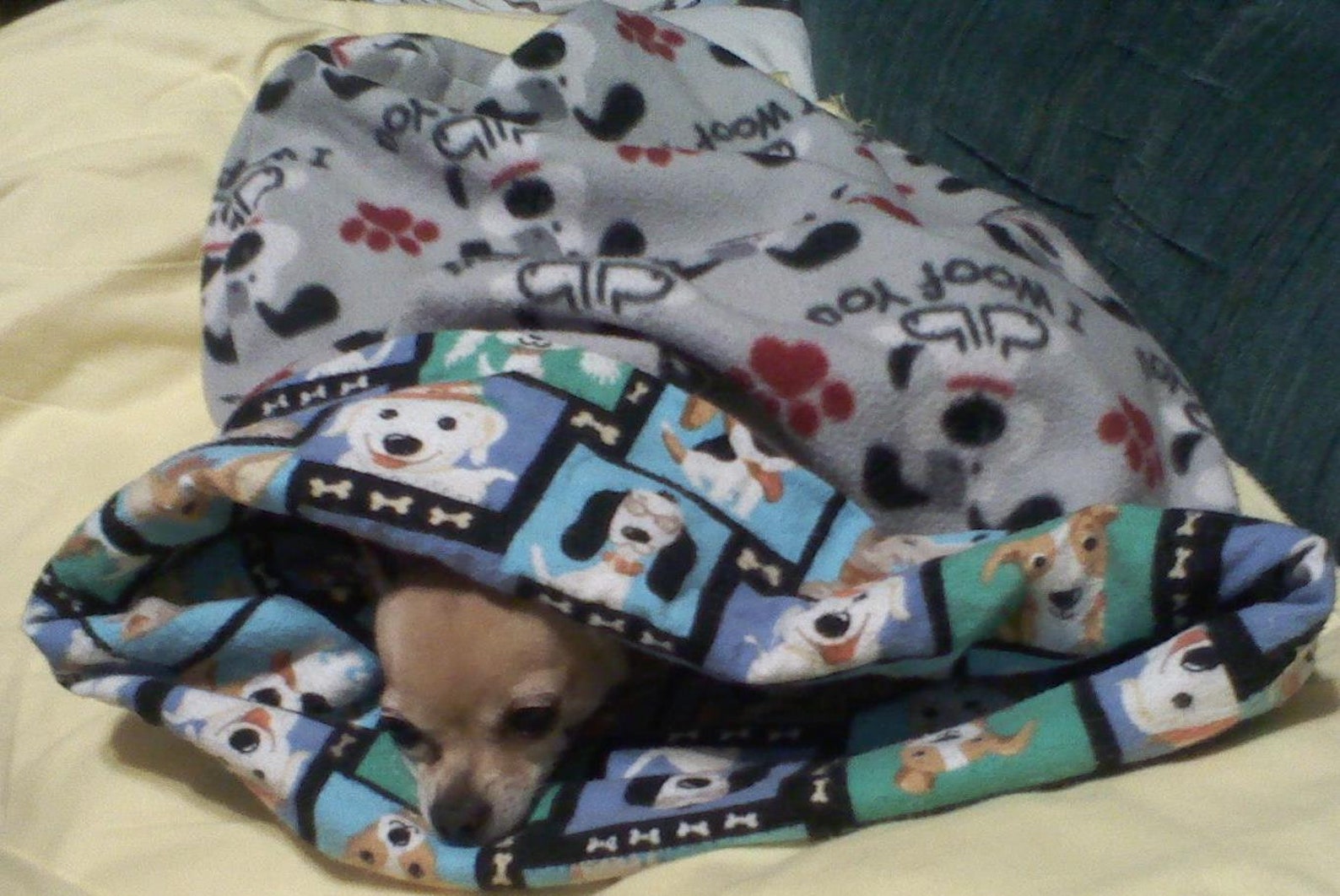 Pet Snuggle Pouch (fur Babies) Dogs/cats/hedgehogs/hamsters - Etsy