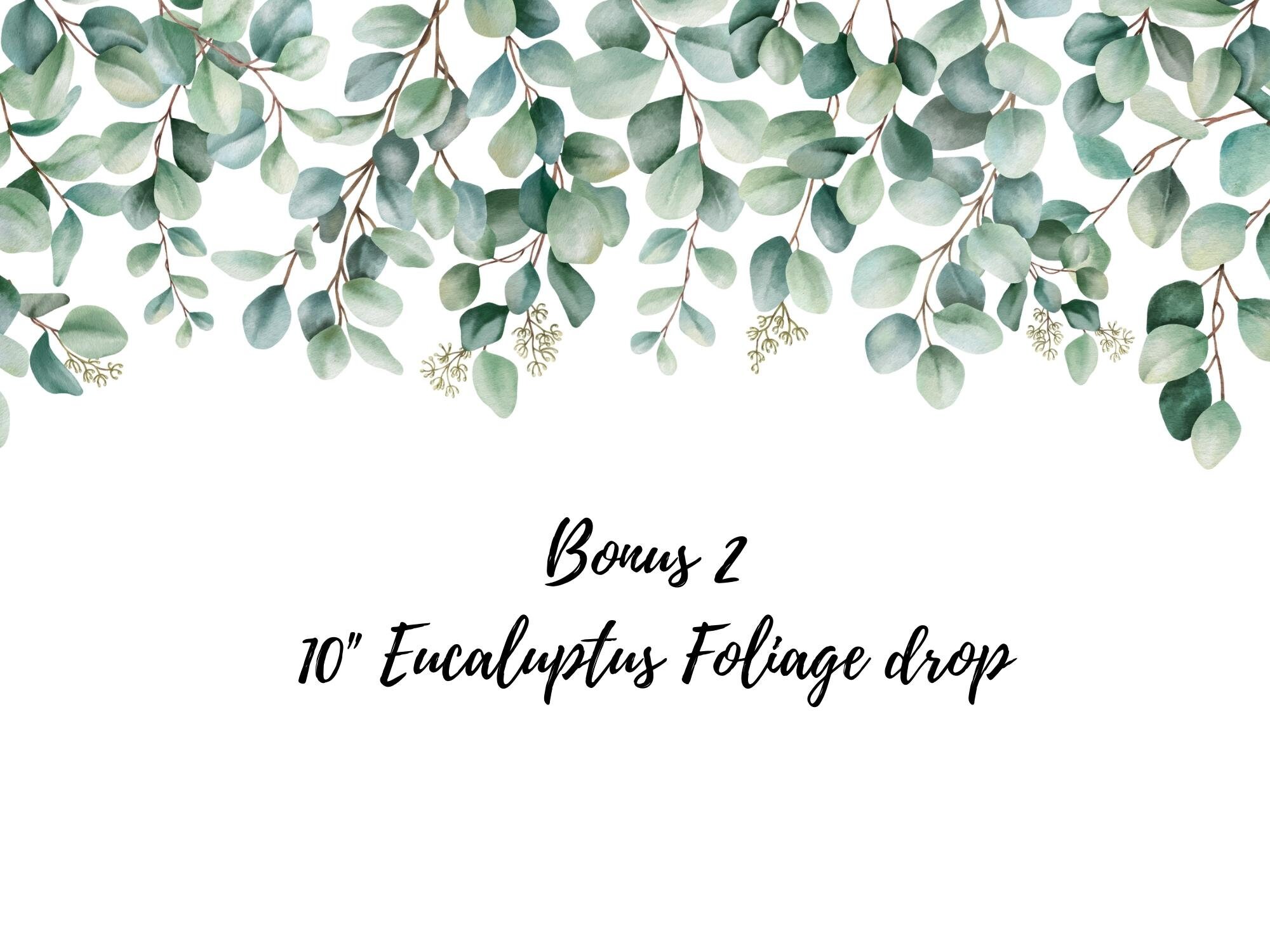 Eucalyptus Watercolor Clipart. Floral Elements Greenery - Etsy