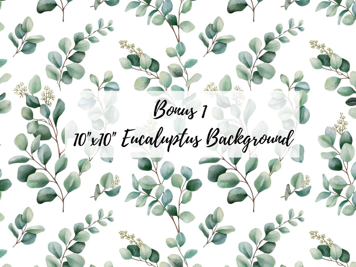 Eucalyptus Watercolor Clipart. Floral Elements Greenery - Etsy