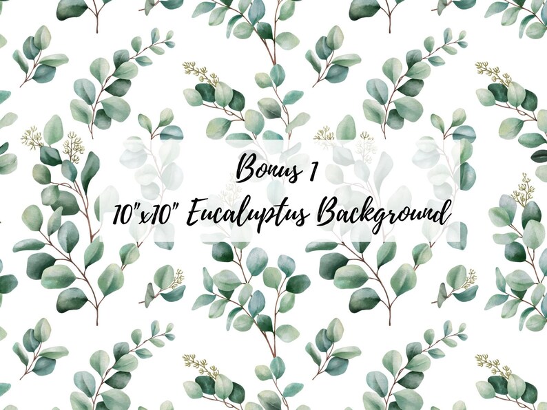 Eucalyptus Watercolor Clipart. Floral Elements, Greenery Clipart ...