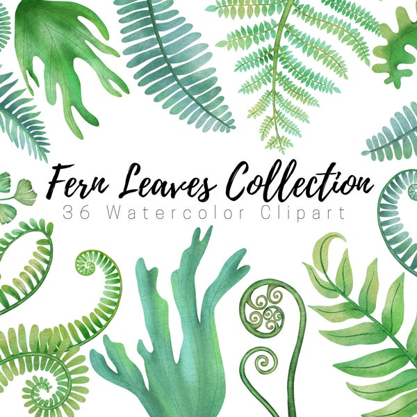 Fern Clip Art - Etsy