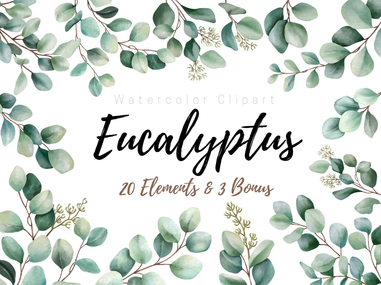 Eucalyptus Watercolor Clipart. Floral Elements, Greenery Clipart ...