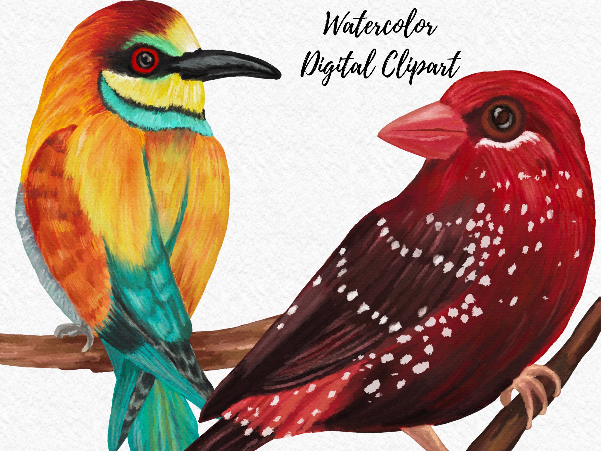 Birds and Patterns Watercolor Digital Download Paper PNG Printable ...