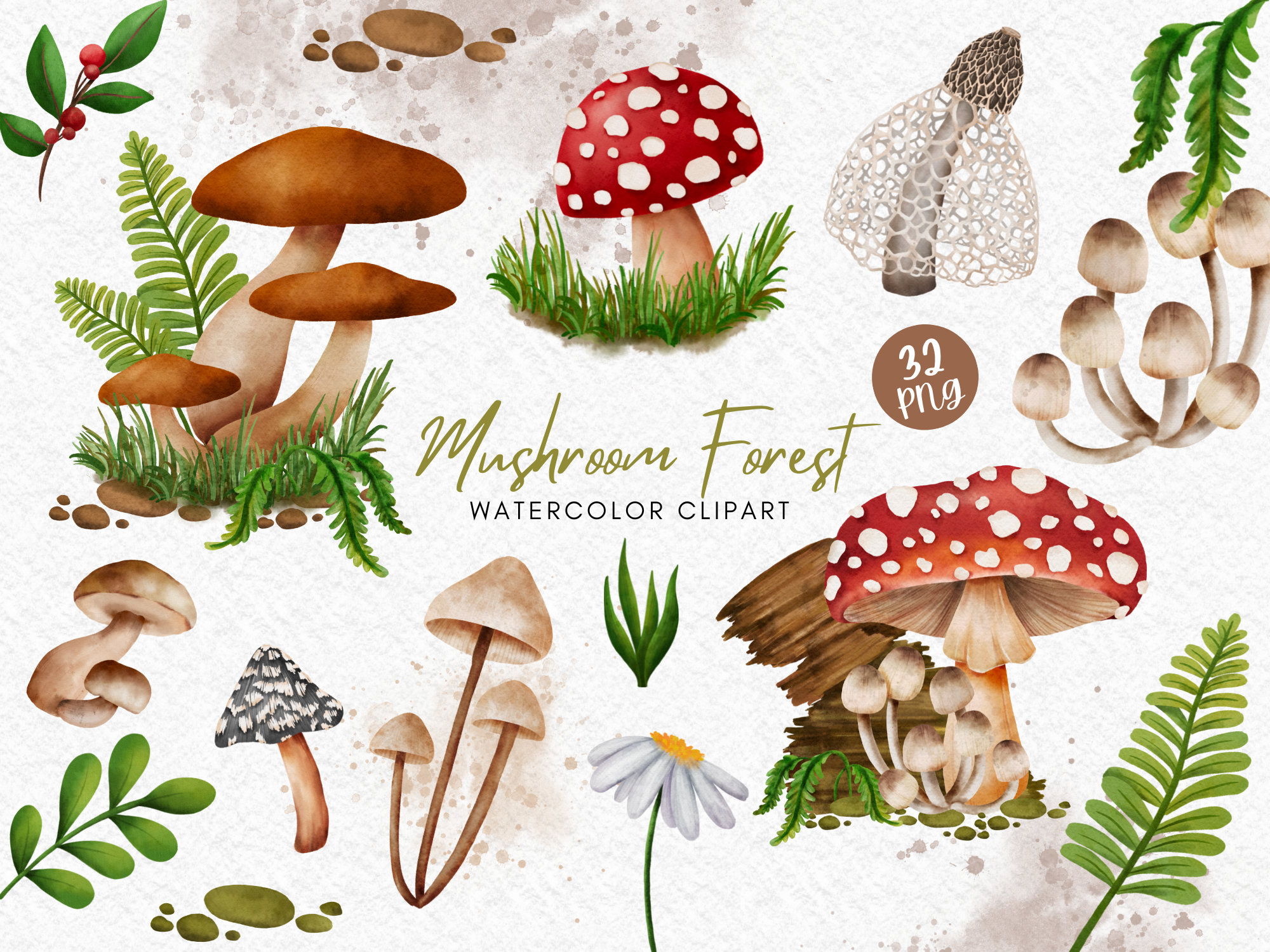 Mushroom Forest Watercolor Digital Clipart 32 PNG, Autumn Floral ...