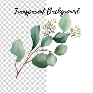 Eucalyptus Watercolor Clipart. Floral Elements, Greenery Clipart ...