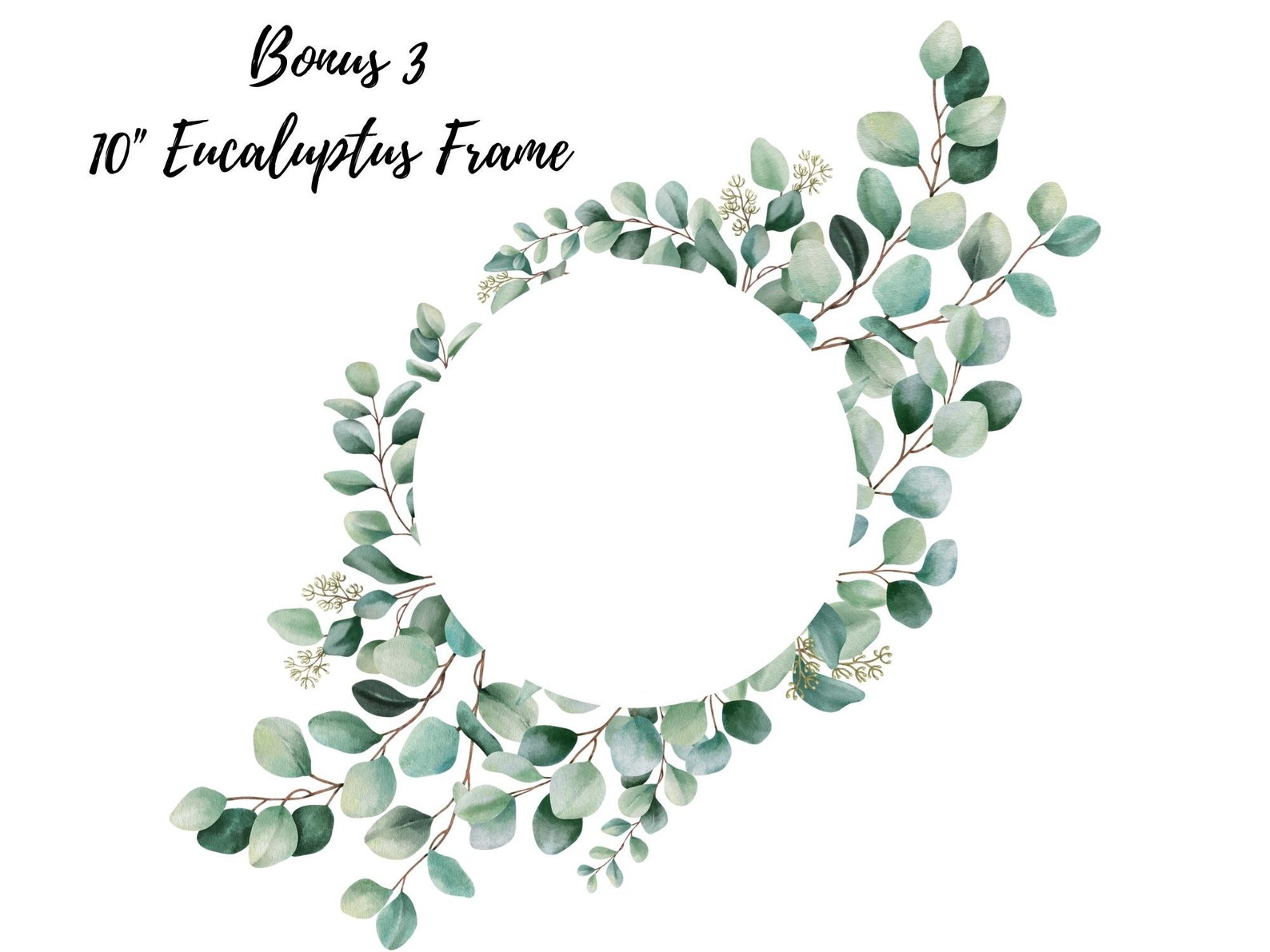 Eucalyptus Watercolor Clipart. Floral Elements Greenery - Etsy
