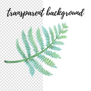 36 Fern Leaves Collection Watercolor Digital Clip Art - Etsy