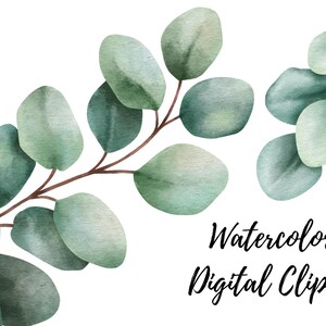 Eucalyptus Watercolor Clipart. Floral Elements, Greenery Clipart ...