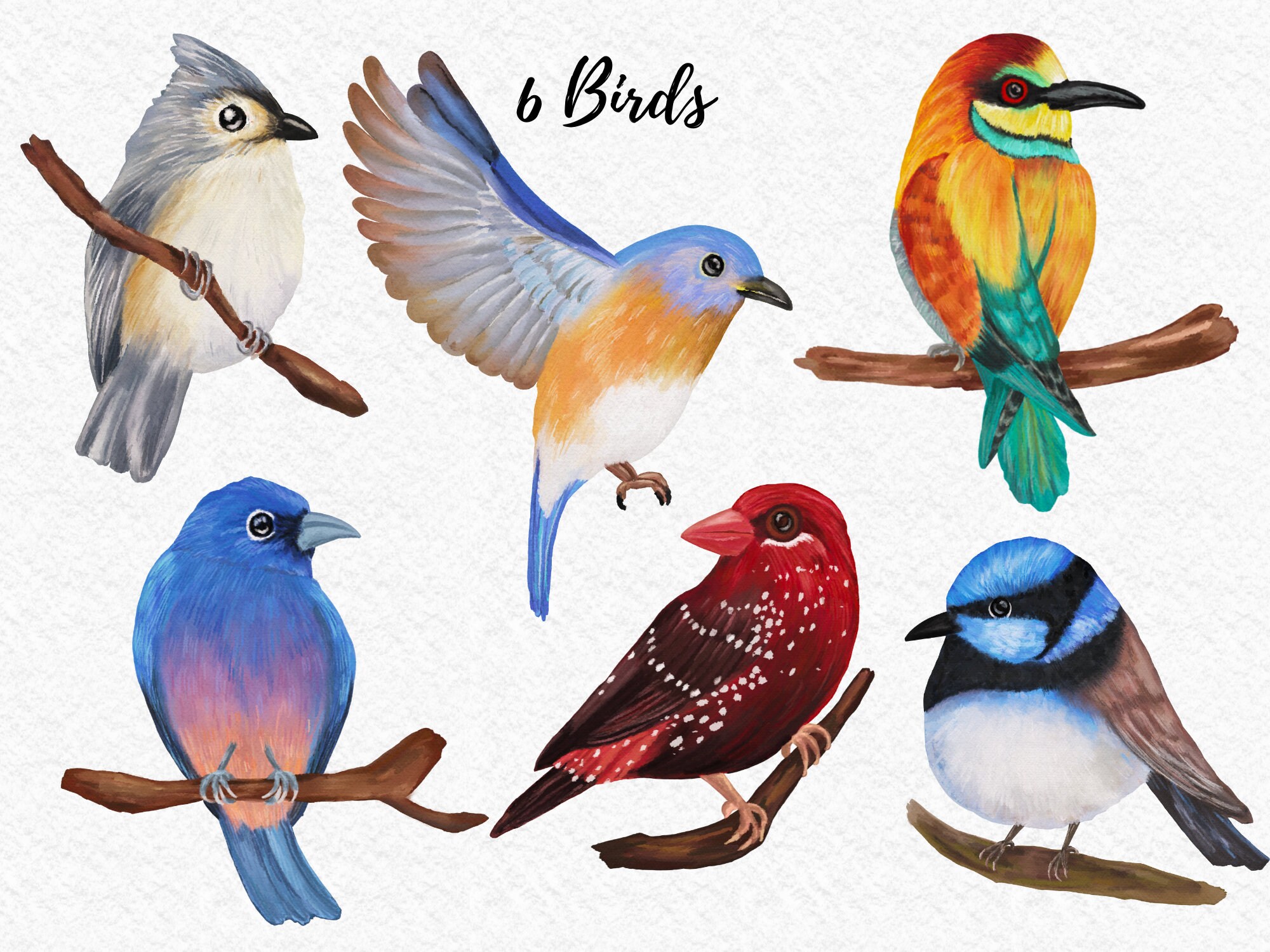 Birds and Patterns Watercolor Digital Download Paper PNG Printable ...