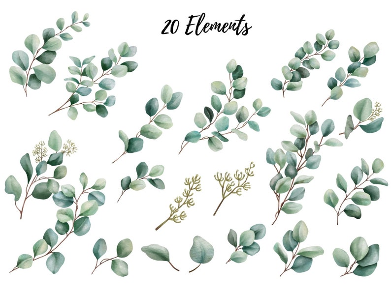 Eucalyptus Watercolor Clipart. Floral Elements, Greenery Clipart ...