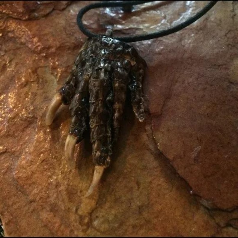Authentic Gator Paw Necklace Unique Alligator Claw Pendant Wildlife ...