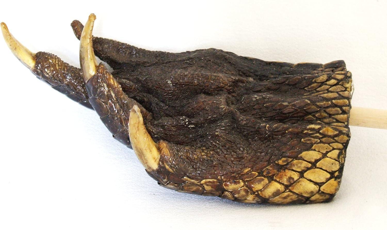 Authentic Real Alligator Paw Back Scratcher - Unique Handcrafted ...