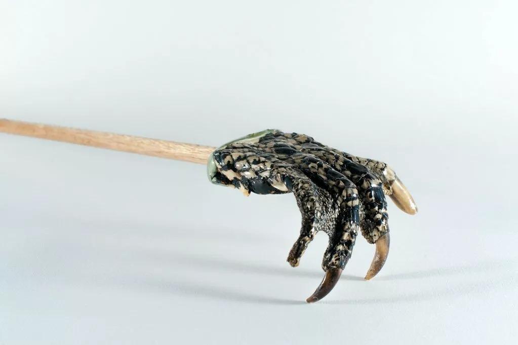Authentic Real Alligator Paw Back Scratcher Unique Handcrafted Reptile ...