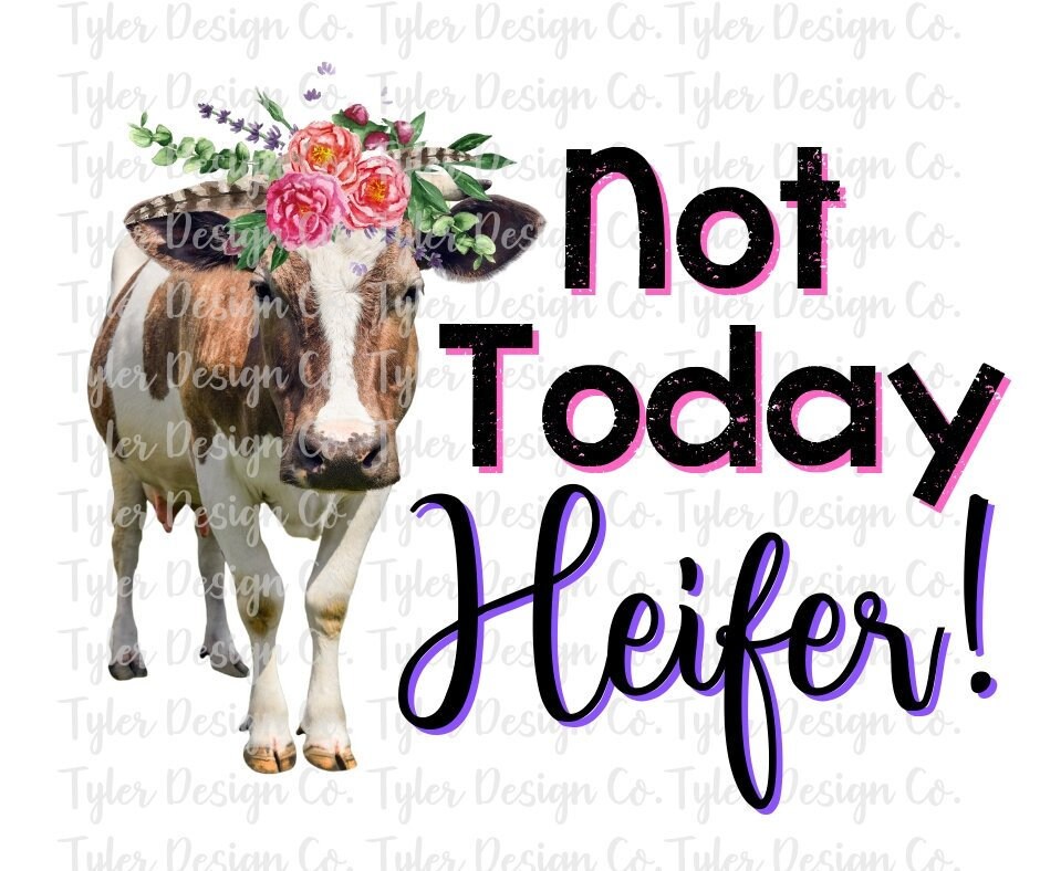 Not Today Heifer Sublimation Clip Art Stock Photo Funny - Etsy
