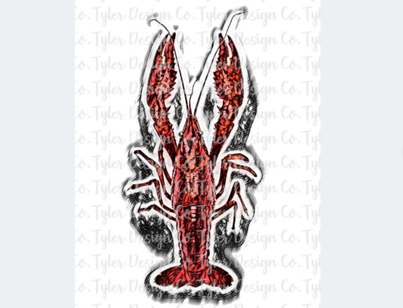Single Crawfish Art Cajun Crawfish Crayfish Sublimation - Etsy