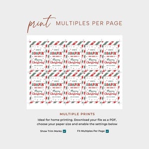 Christmas Soap Gift Tag EDITABLE, Soapin You Have a Merry Christmas Tag ...