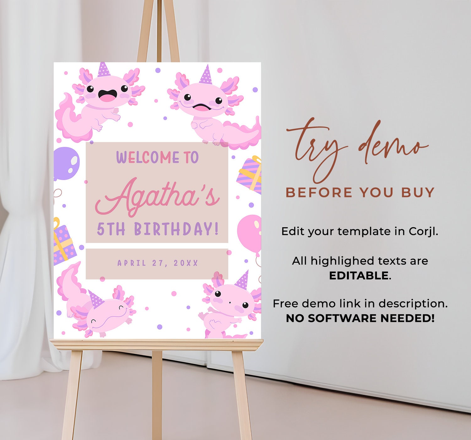 Axolotl Birthday Welcome Sign EDITABLE, Pink Cute Axolotl Birthday ...