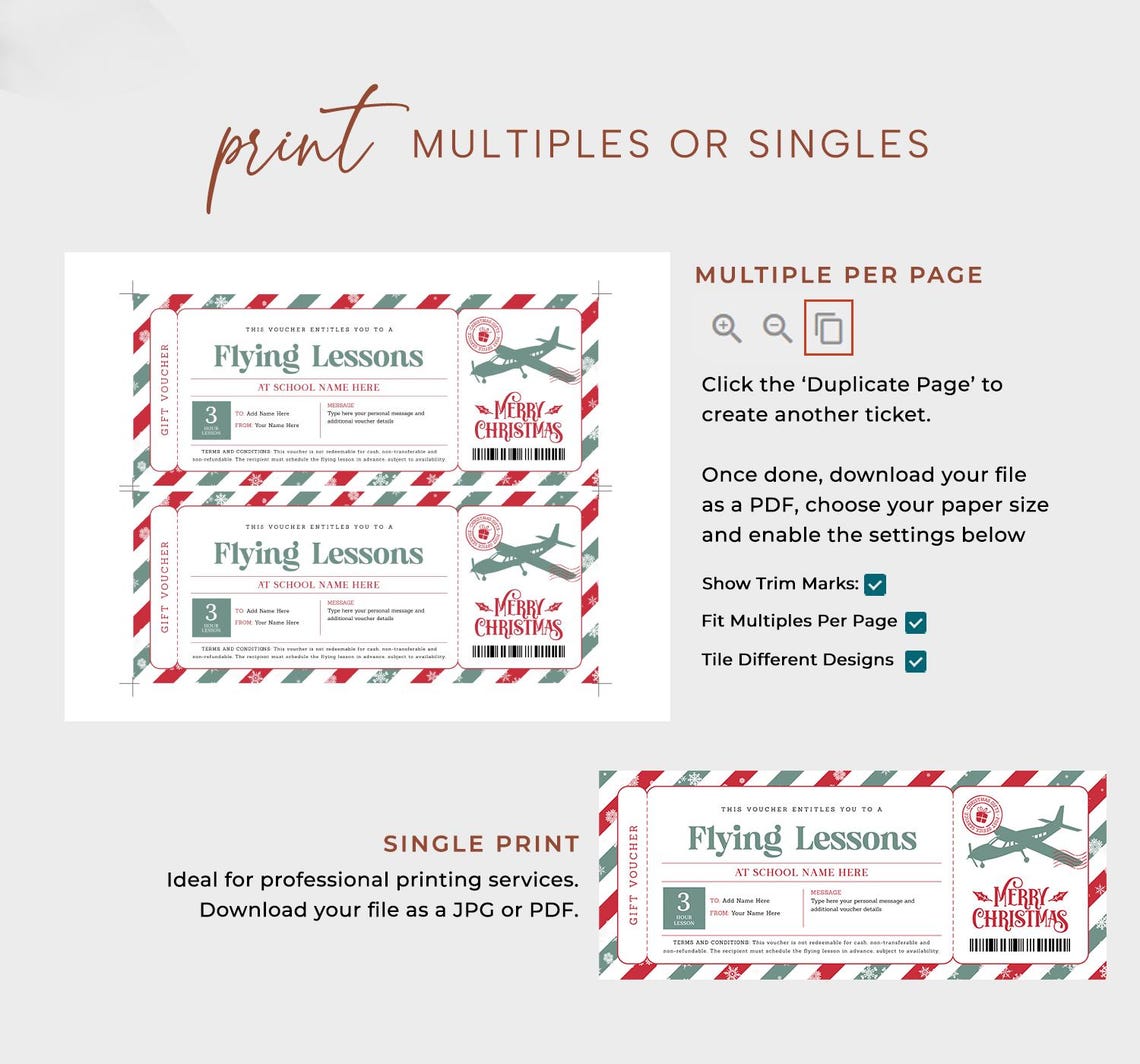 Flying Lessons Christmas Voucher EDITABLE, Flight Gift Certificate ...