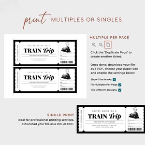 Train Trip Ticket Template EDITABLE, Surprise Train Trip Gift ...
